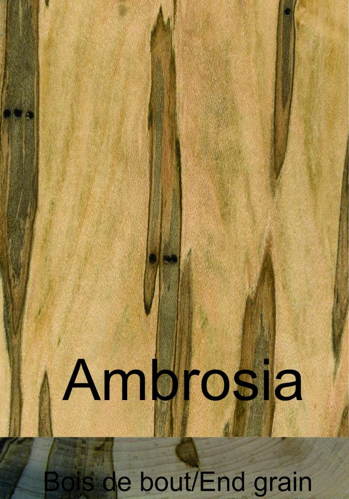 Sapele (Entandrophragma Cylindricum) - Bois-Exotique.com