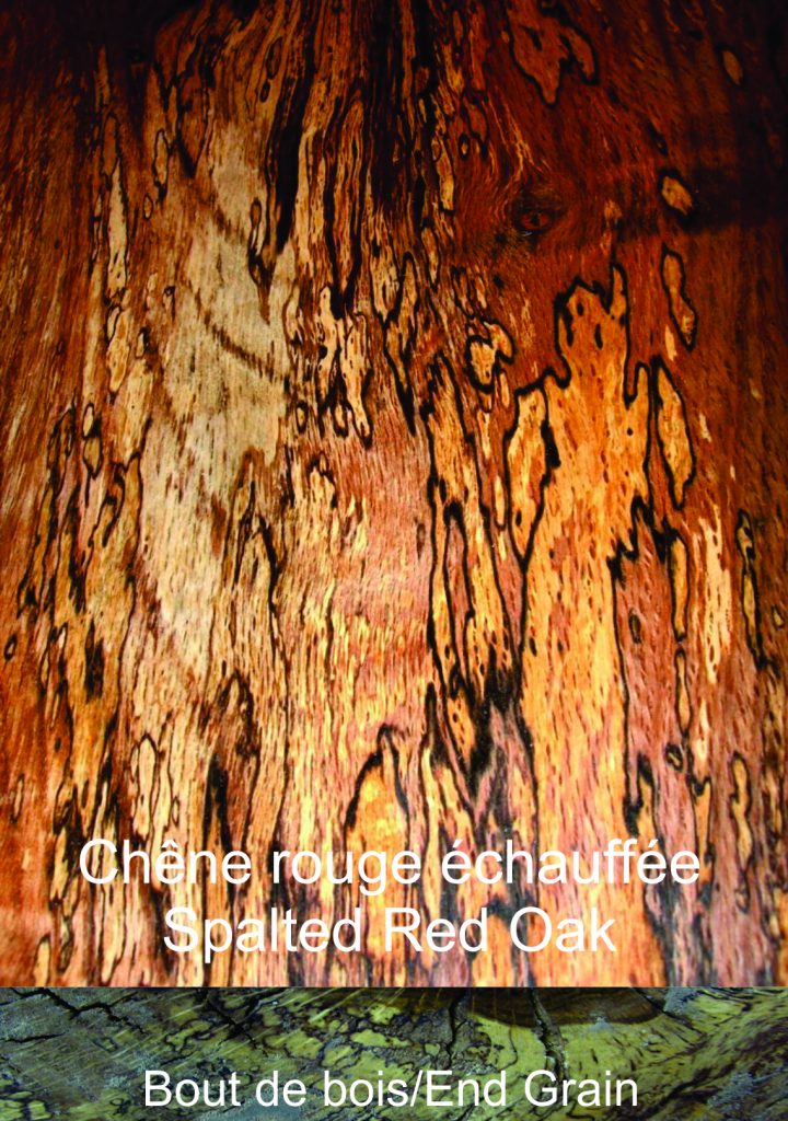 Red Oak, spalted (Quercus Rubra) - Bois-Exotique.com