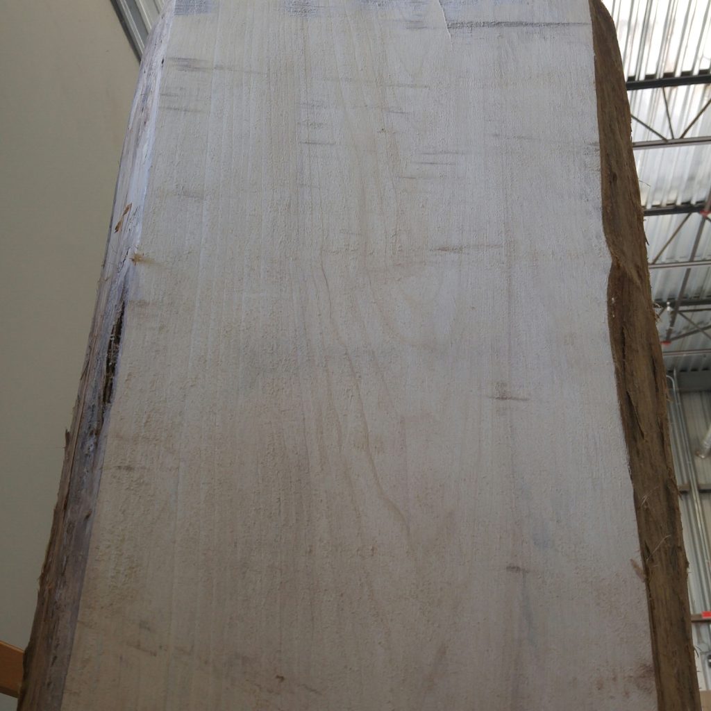 Paper Birch block - Exotic Wood