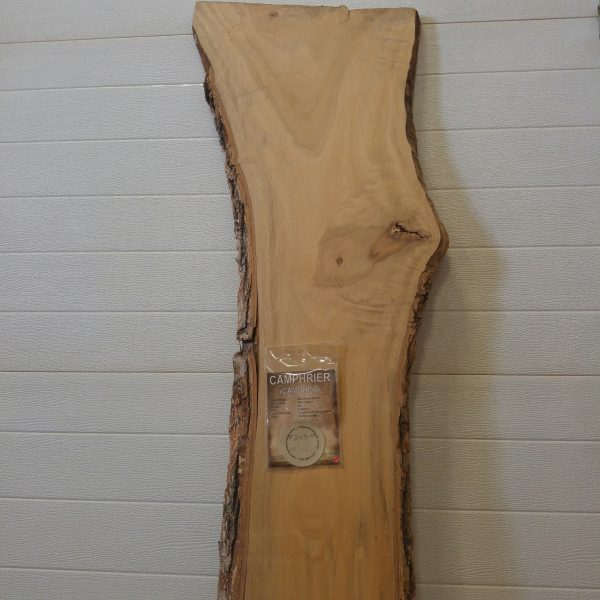 Camphor block - Exotic Wood