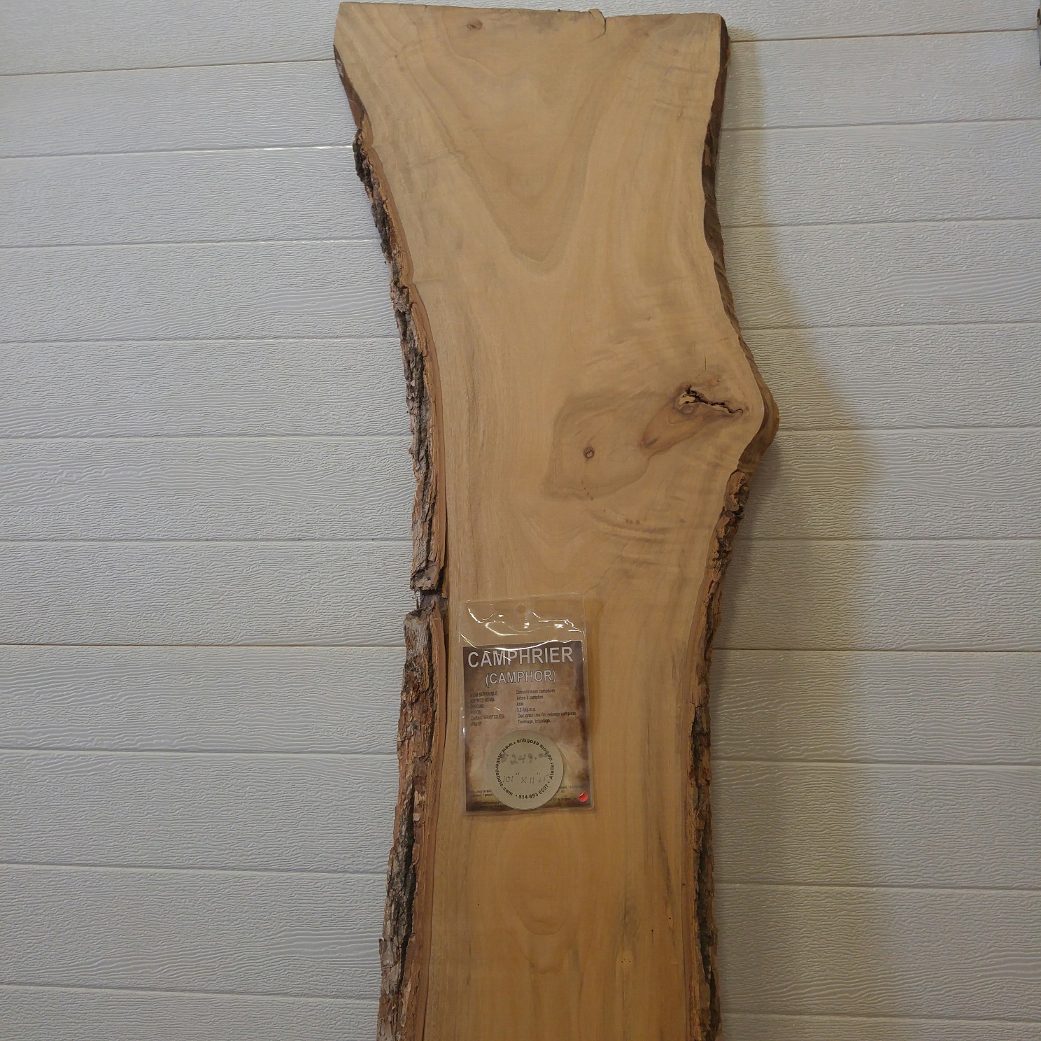Camphor block - Exotic Wood