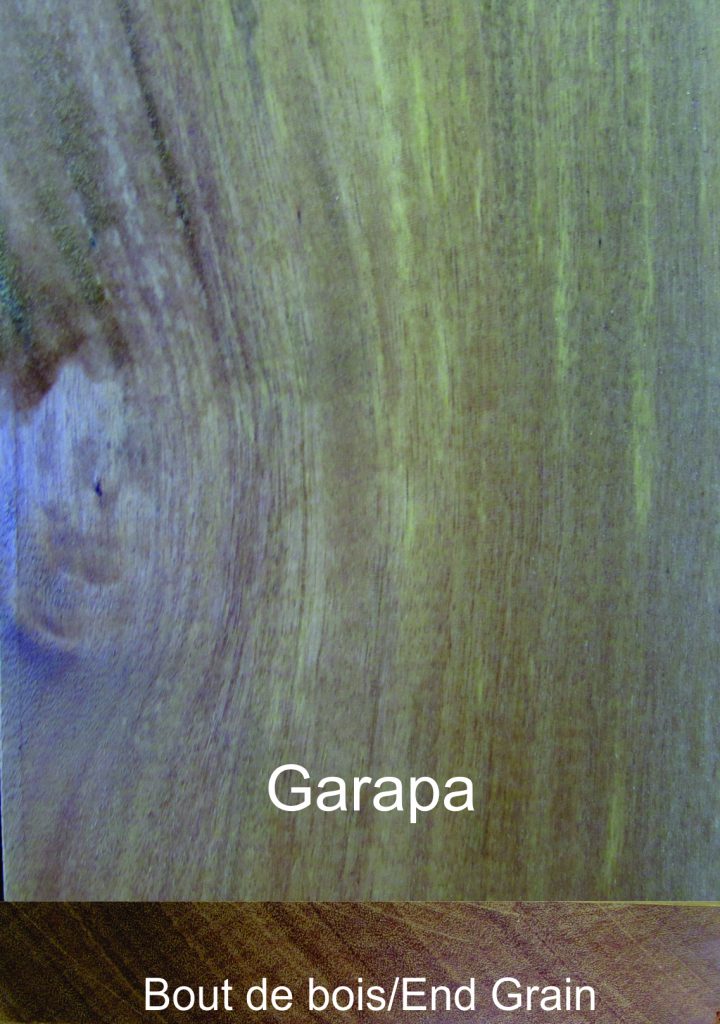 Garapa (Apuleia leiocarpa) - Bois-Exotique.com