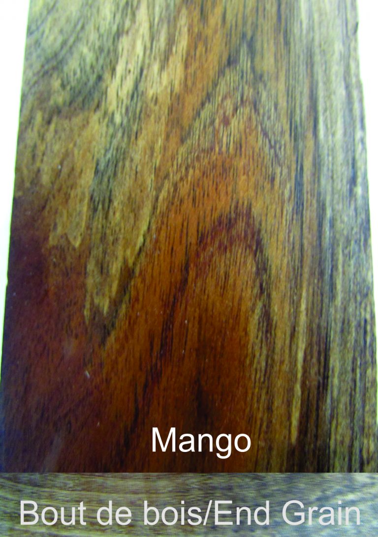 Mango (Mangifera indica) - Bois-Exotique.com
