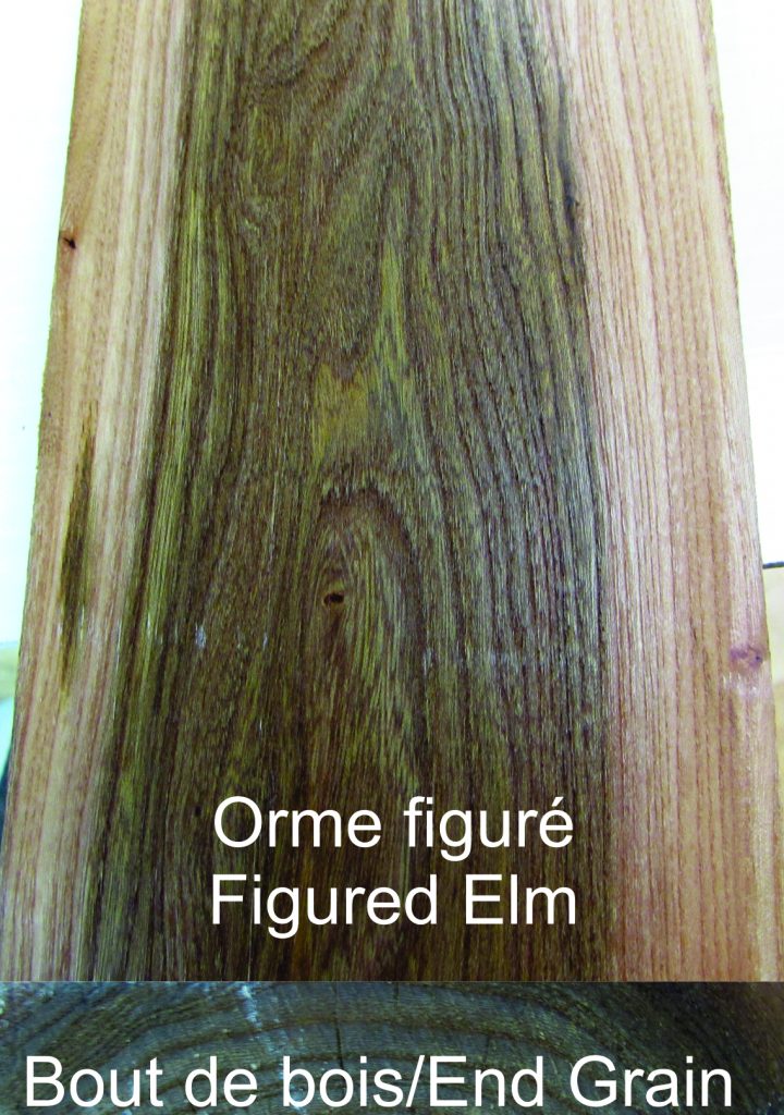 Figured Elm (Ulmus americana) - Bois-Exotique.com