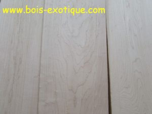 Bloc Érable Piqué - Bois-Exotique.com