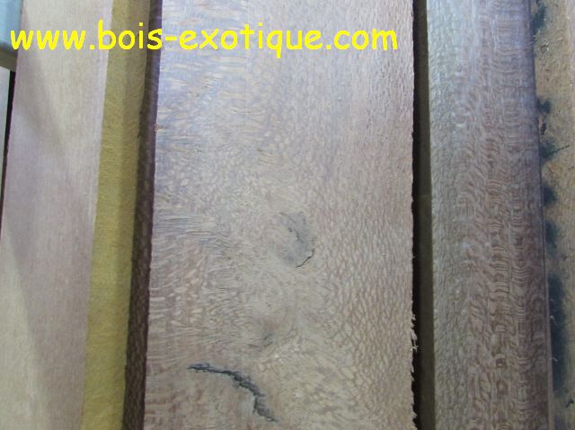Lacewood block - Exotic Wood