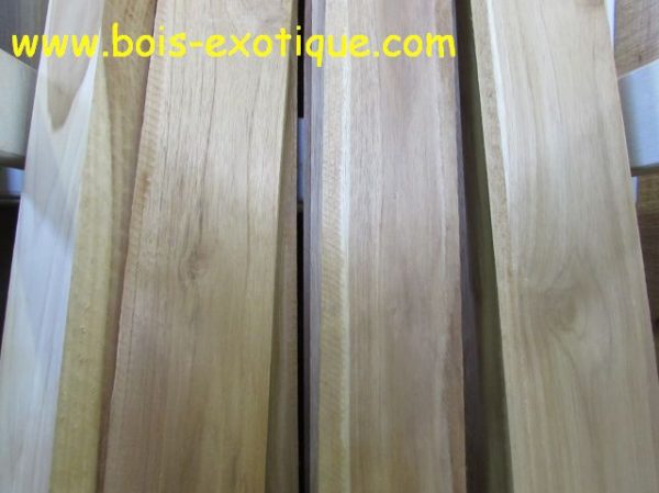 Plantation Teak block - Exotic Wood