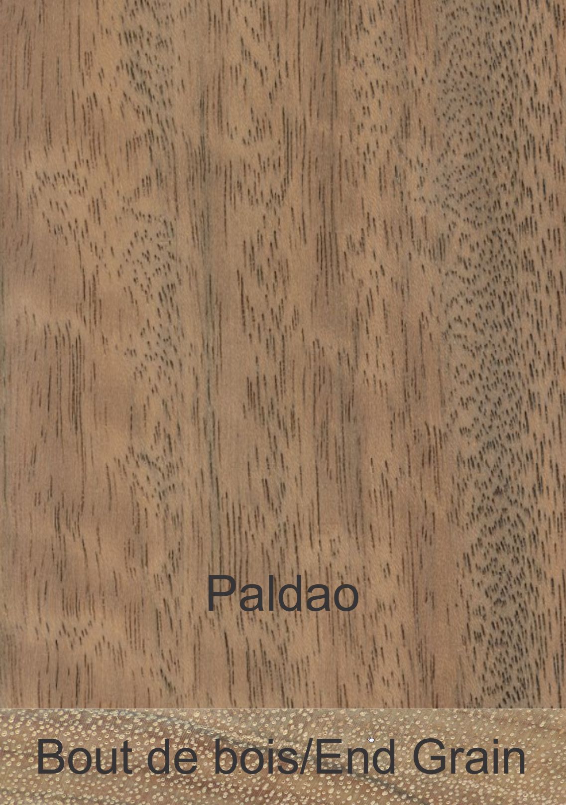 Paldao (Dracontomelon dao) - Bois-Exotique.com