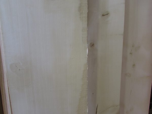 Holly - Exotic Wood