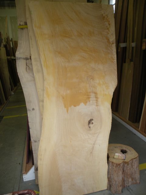 Gavilan Limon - Exotic Wood
