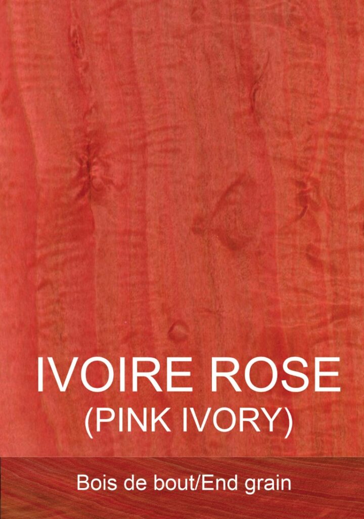Pink Ivory (Berchemia zeyherii) - Bois-Exotique.com